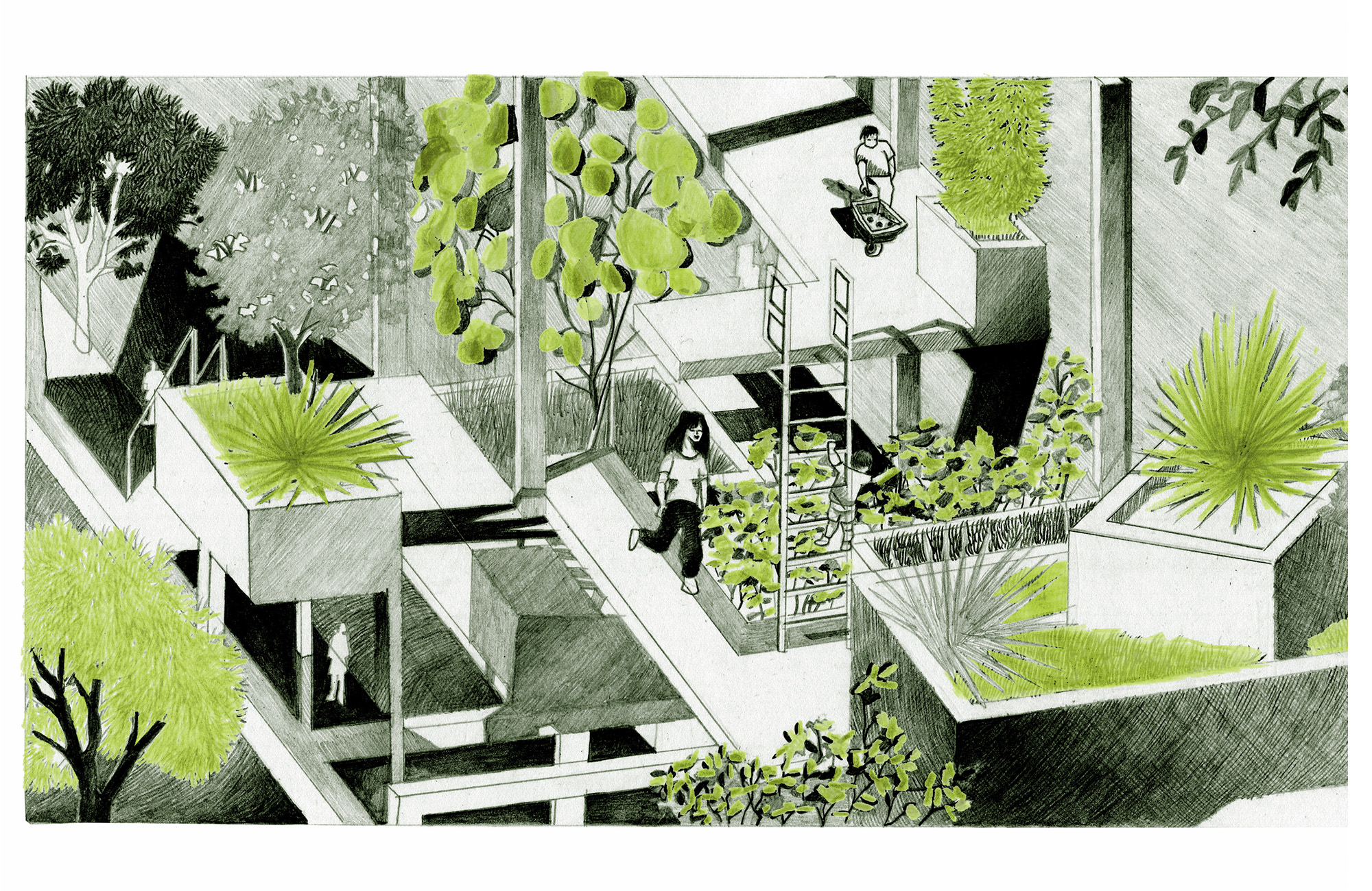 Housing complex and vegetated pathways | ChartierDalix | Architecture ...